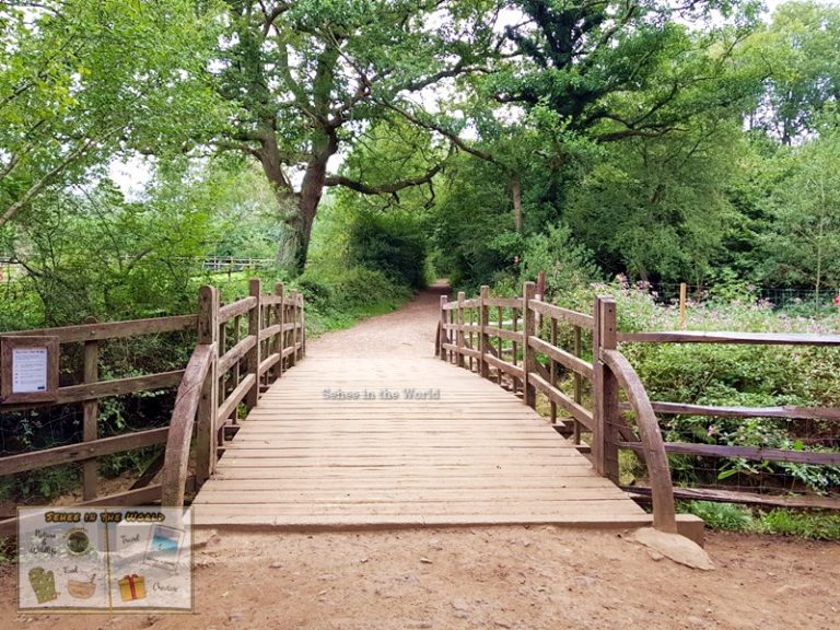 Wonderful Hartfield Day Trip: Pooh Corner & Pooh Sticks Bridge